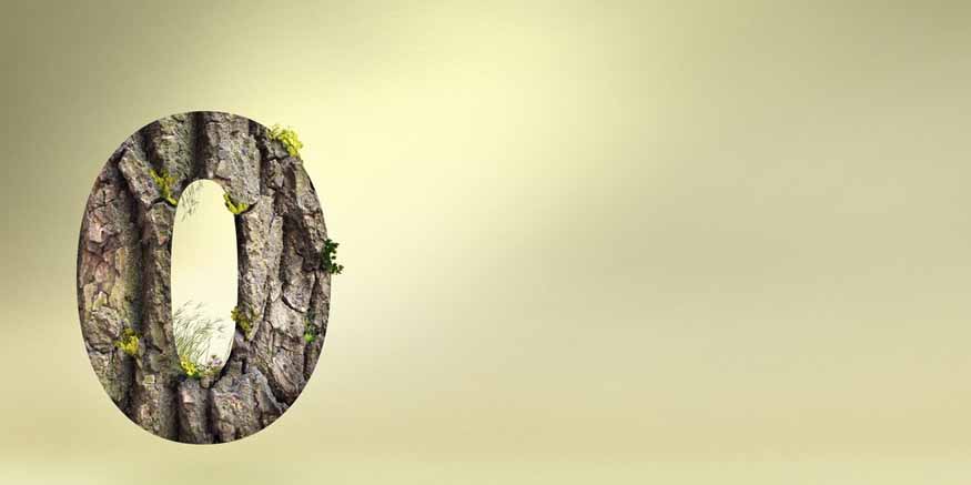 All You Need to Know About the Invention of Zero - Billabong