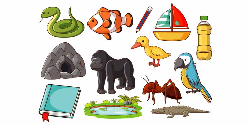 Living vs Non-Living Things: Simple Guide with Examples
